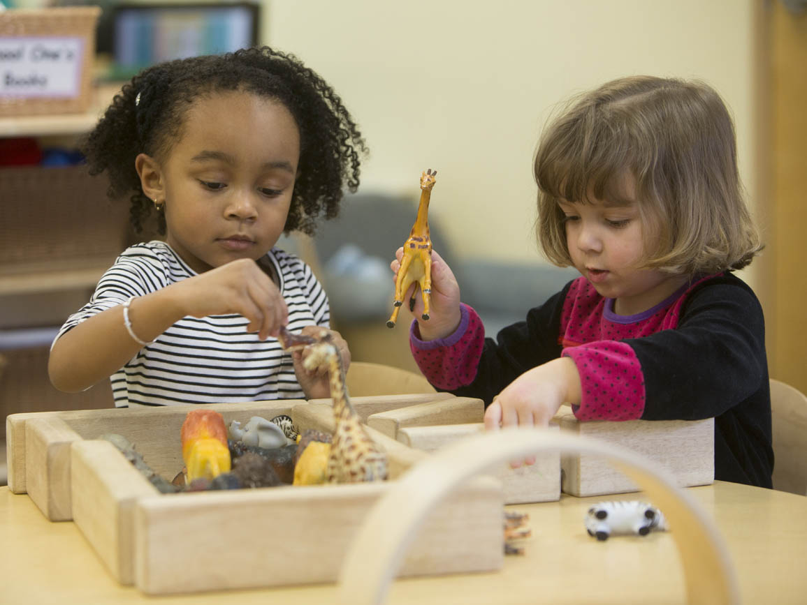 Executive Functioning Strategies At Home What Is Executive Function?